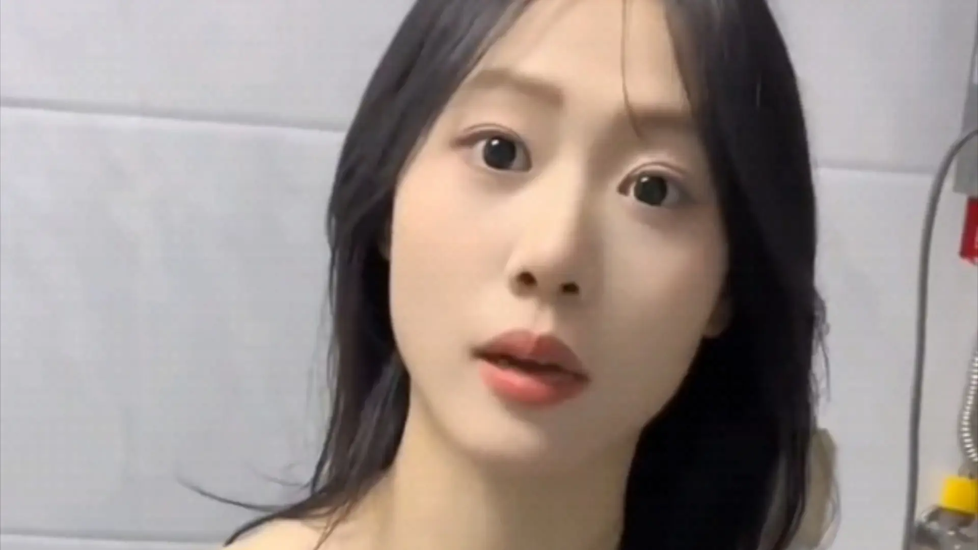 “吾妻虽傻，忠似犬马”_哔哩哔哩_bilibili