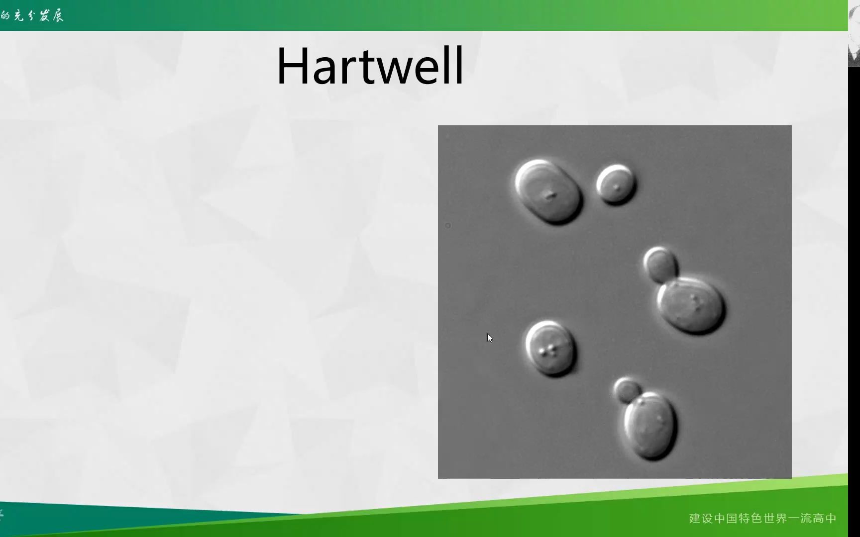 1971 Hartwell GENETIC CONTROL OF THE CELL DIVISION CYCLE IN YEAST 2001年 ...