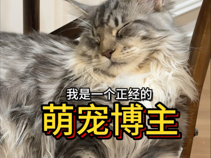 希望大家喜欢我的猫狗-Caesar-Cat-Caesar-Cat-哔哩哔哩视频