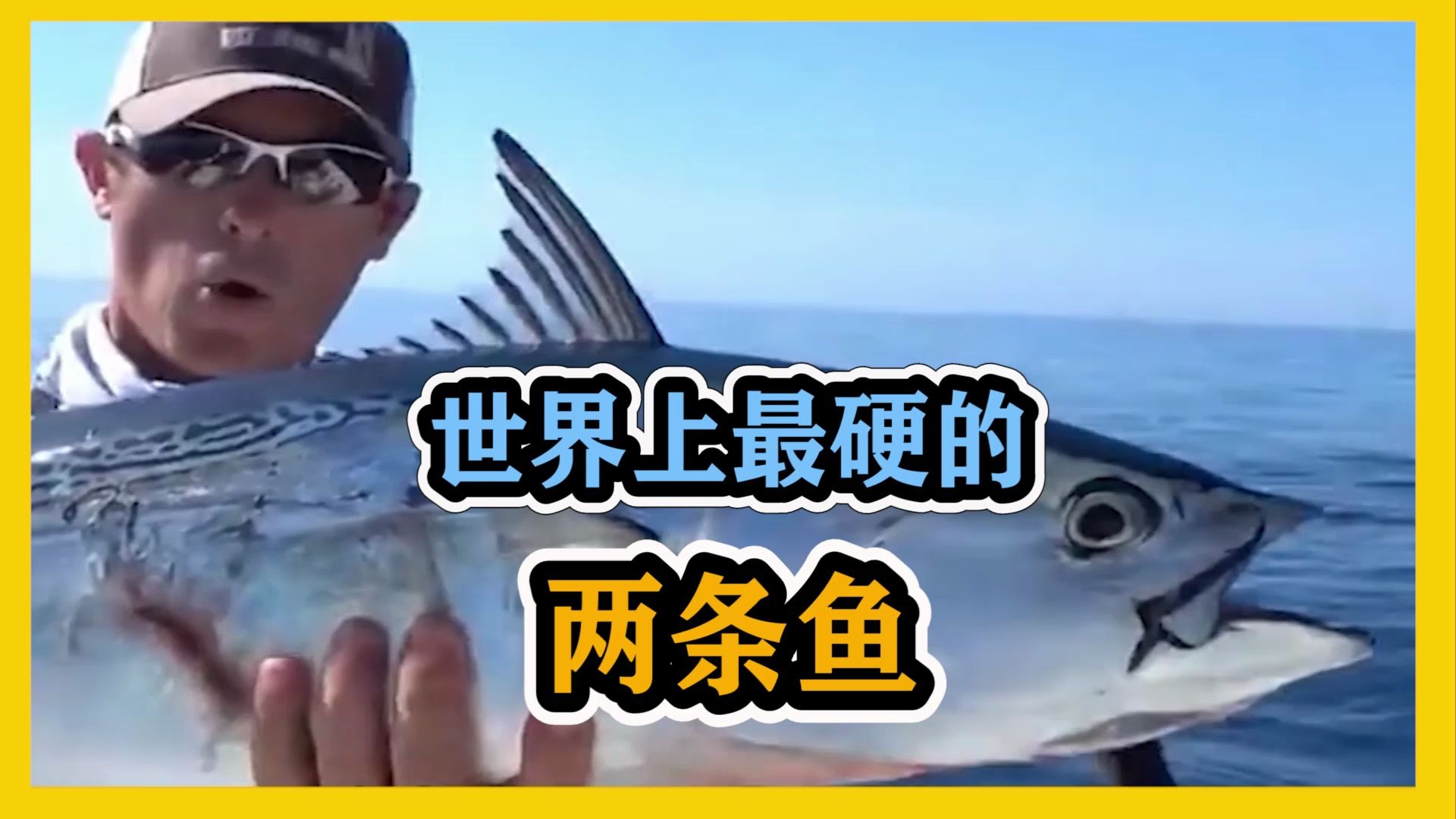世界上最硬的两条鱼110 哔哩哔哩