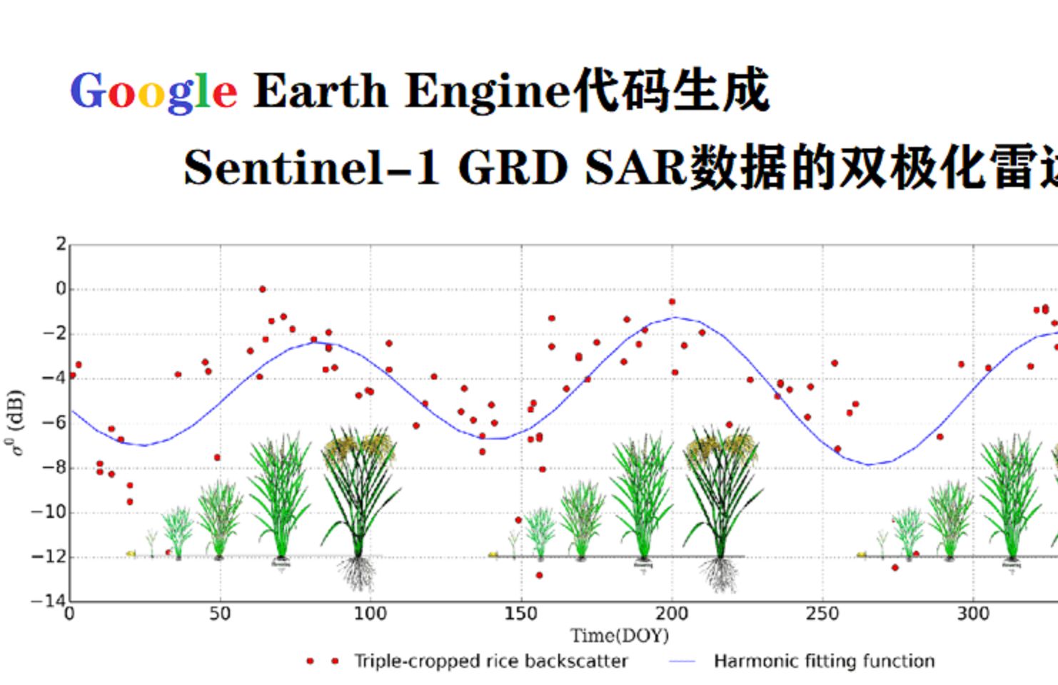 GEE生成Sentinel-1 GRD SAR数据的双极化雷达指标——用于作物生长评估-time星君-time星君-哔哩哔哩视频