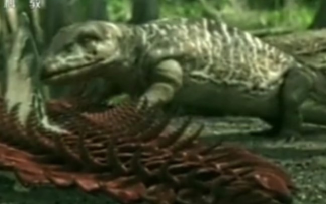 Walking With Monsters Proterogyrinus