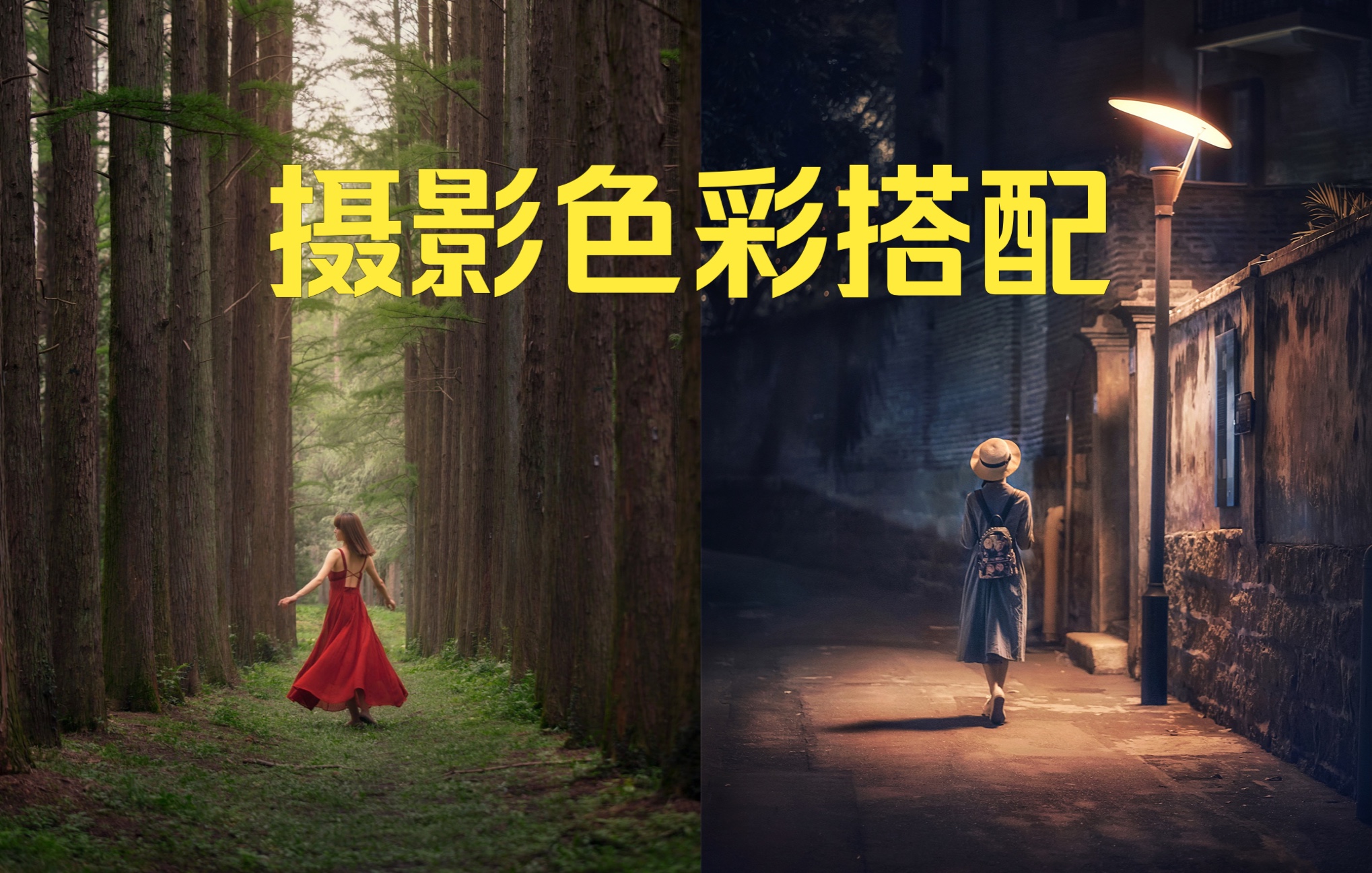 最易懂的摄影色彩搭配,不再盲目调色 哔哩哔哩