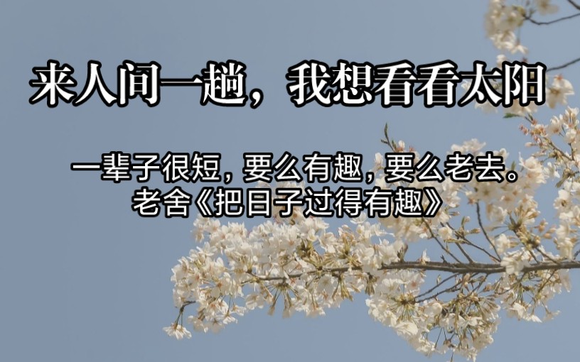 「语录摘选」 一辈子很短，要么有趣，要么老去！” 哔哩哔哩