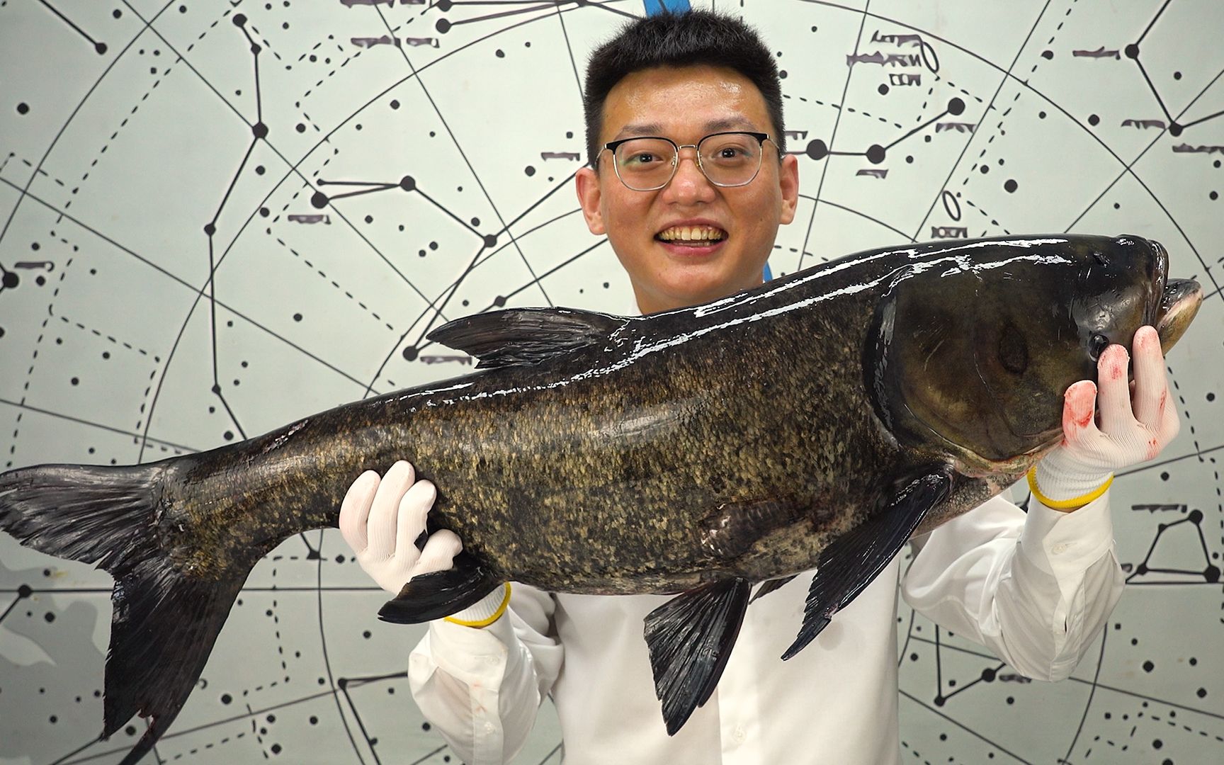 试吃800元23斤千岛湖胖头鱼，我和鱼儿搏斗的一天！ - 哔哩哔哩