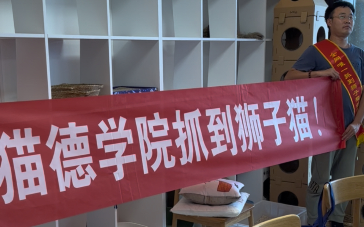 热烈祝贺猫德学院抓到狮子猫！！！ 哔哩哔哩