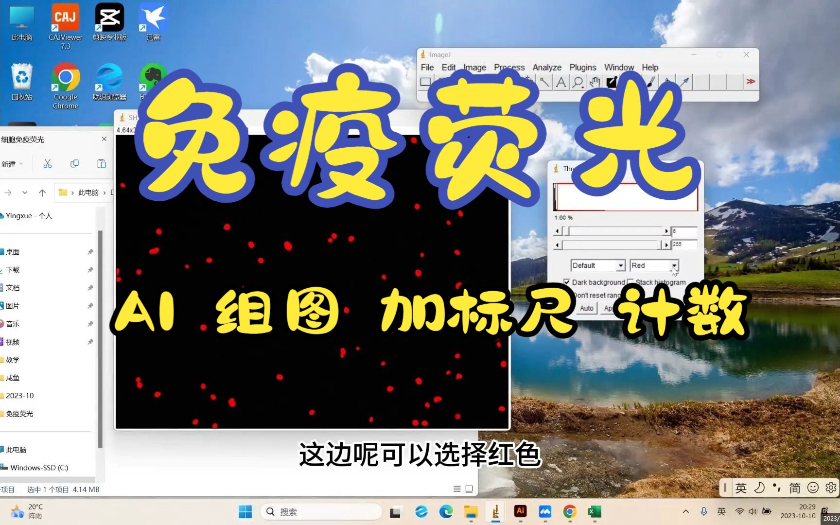 科研作图 | 上课了~超级详细的免疫荧光imageJ计数 AI组图 加标尺-非不思她---AI科研图片处理-哔哩哔哩视频