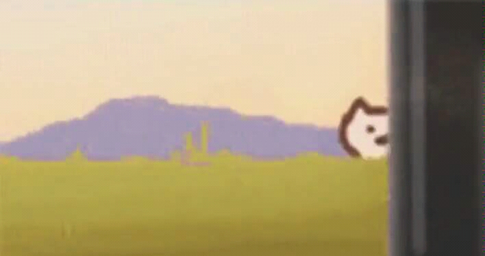 【Eve One Cat】追火车的小猫，表情包素材_哔哩哔哩_bilibili