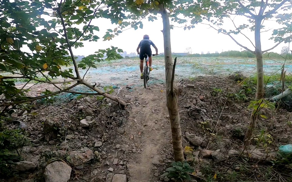 xcxc_哔哩哔哩_bilibili