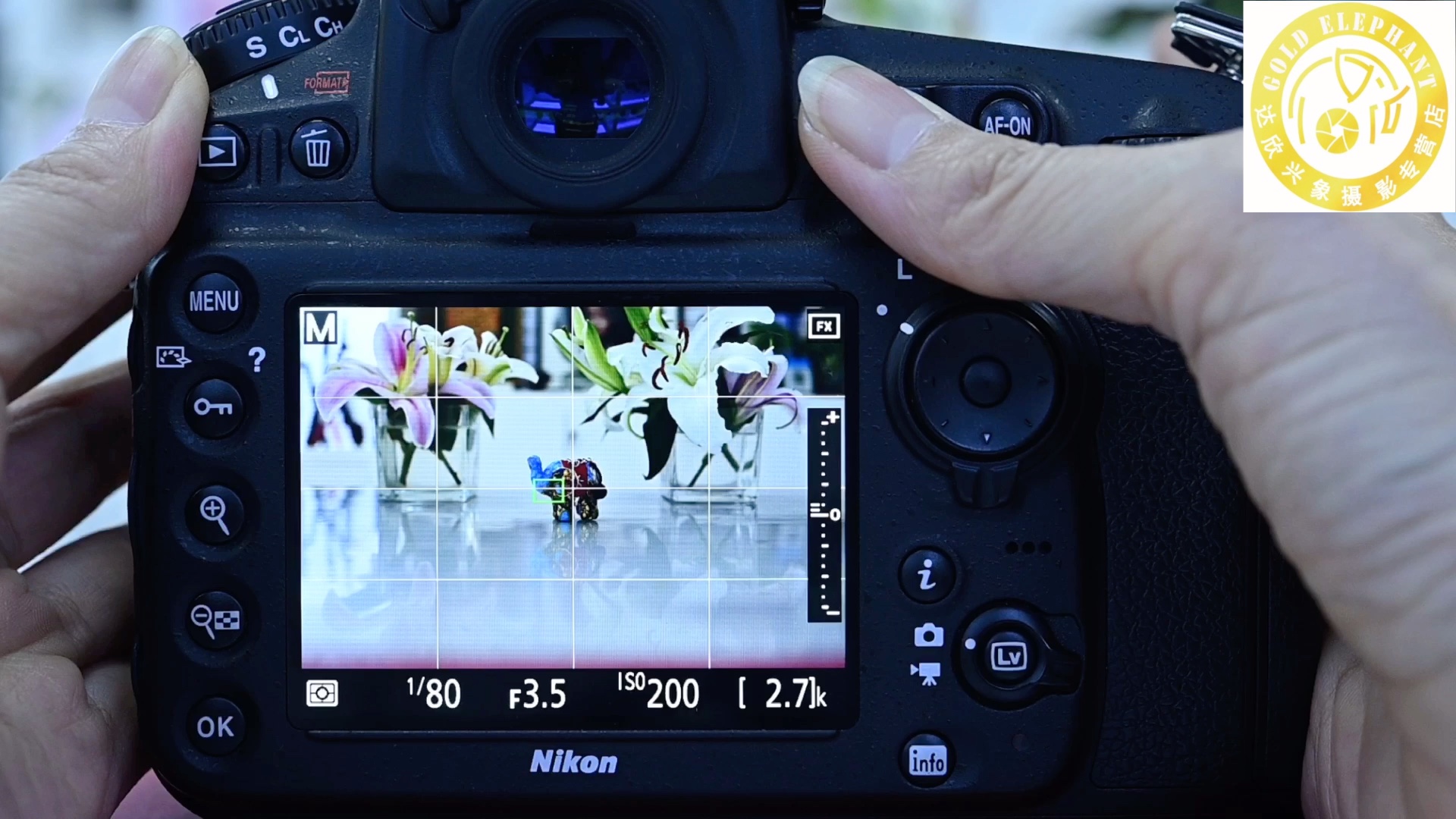 尼康相机AF-ON AE-L AF-L按键的设定和使用方法_哔哩哔哩 (゜-゜)つロ 干杯~-bilibili