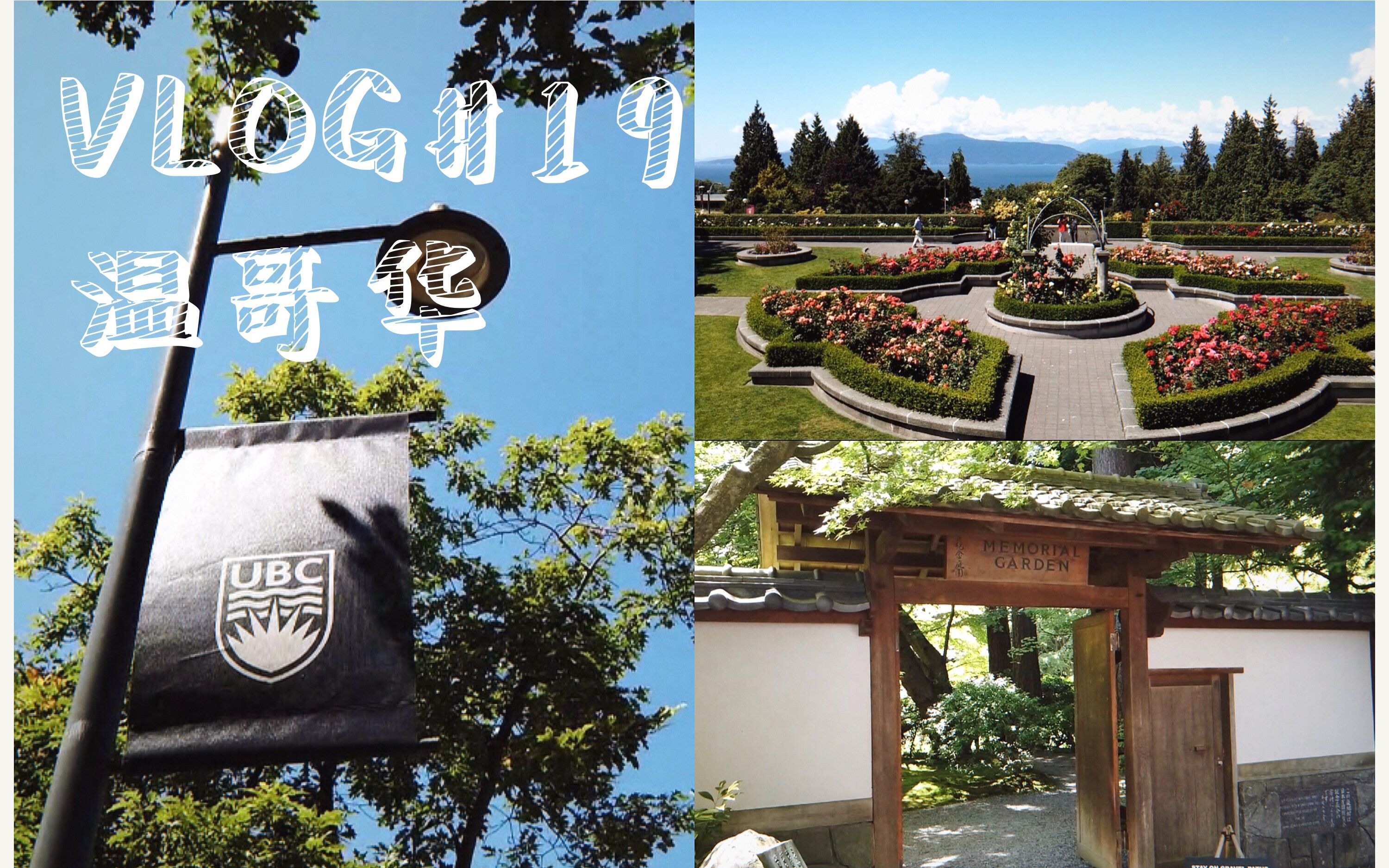 Frogieee VLOG#19 温哥华｜北美最美校园UBC｜Japanese Garden日本花园｜Rose Garden玫瑰花园 ...
