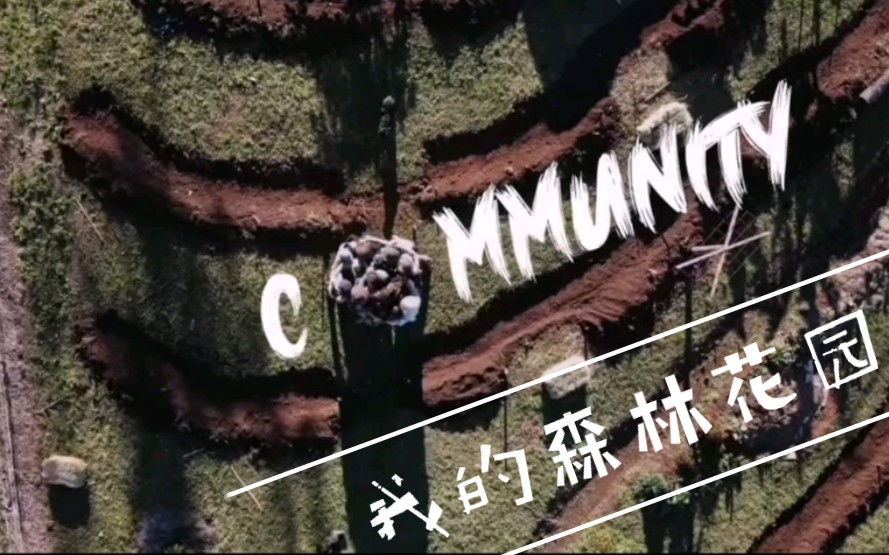 Build up a food forest_哔哩哔哩_bilibili