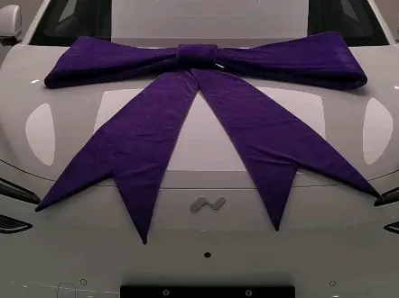 #乐道L60提车日记_哔哩哔哩_bilibili