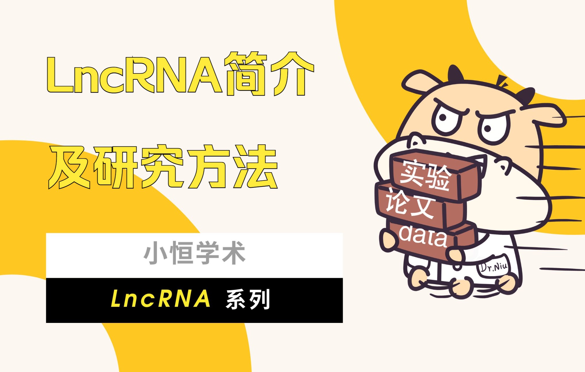 LncRNA简介及研究方法_哔哩哔哩_bilibili