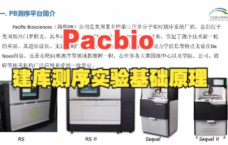Pacbio建库测序实验基础原理_哔哩哔哩_bilibili