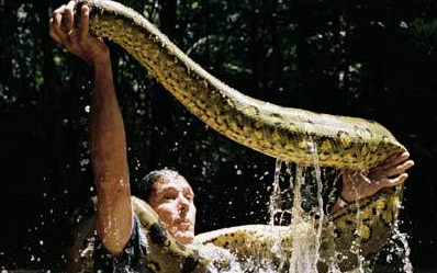 纪录片-【弄蛇人奥斯汀 Snakemaster/奥斯汀闯荒野 Austin Stevens Adventures/七次致命的攻击】合集_哔哩哔 ...