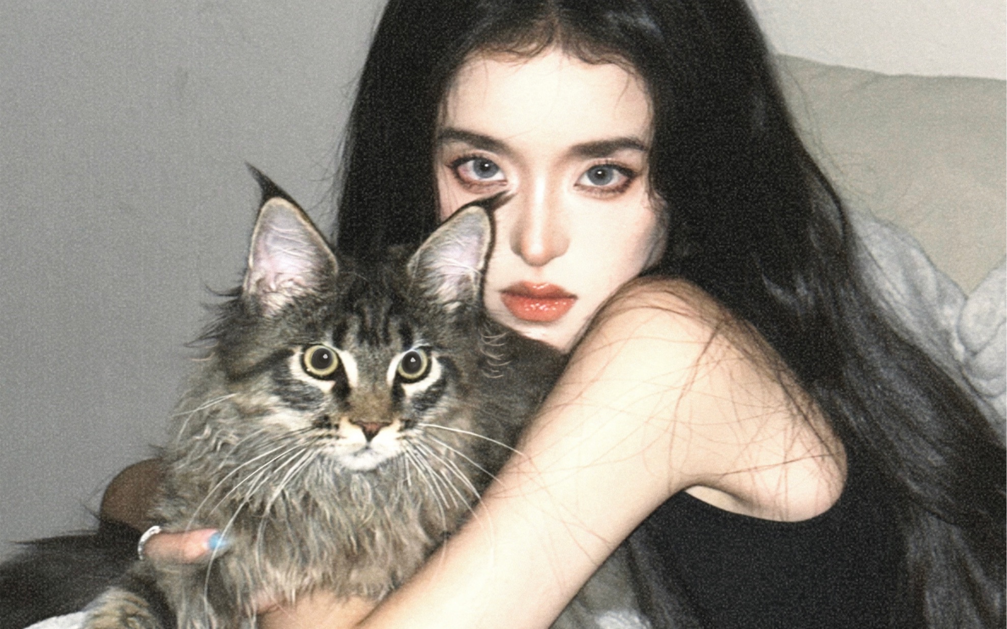 小猫恩准我进入她的世界 哔哩哔哩