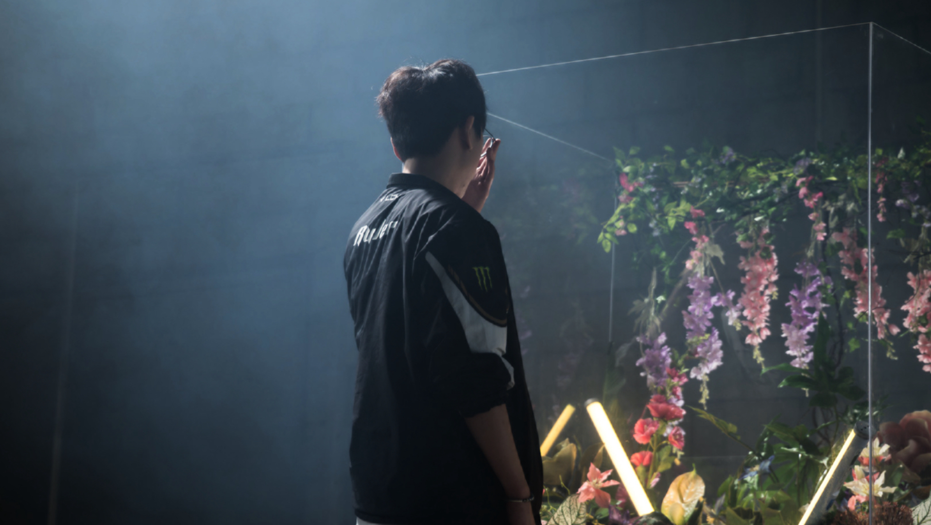 對了說到金毛狗-bili_76122041222-bili_76122041222-哔哩哔哩视频