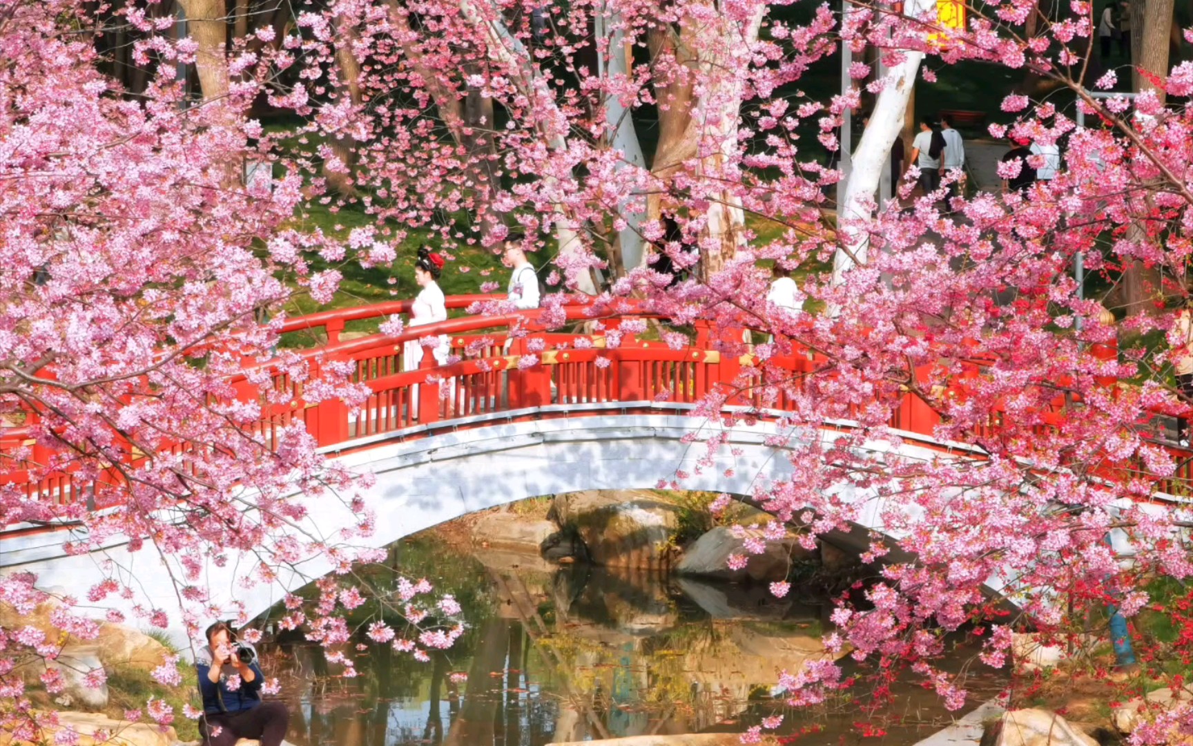 江淮官话清唱《广陵老》-春和景明5601-春和景明5601-哔哩哔哩视频