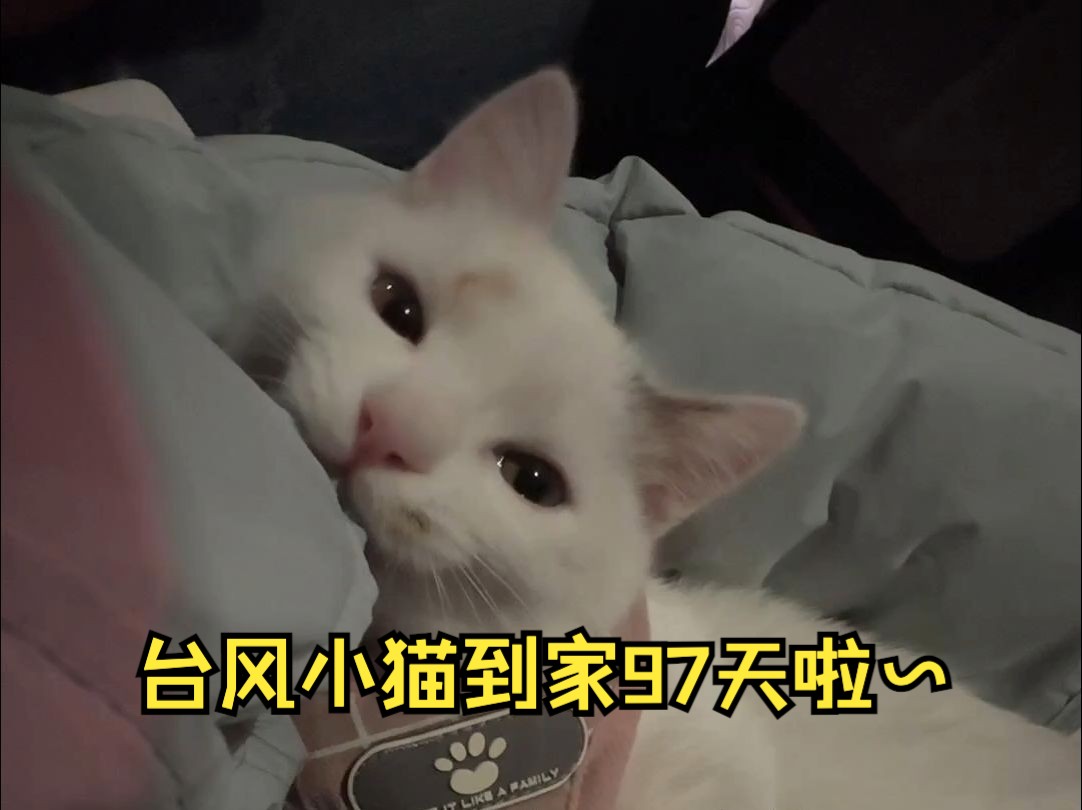 baby+：我已经打好疫苗啦ee们～-刘强是个芽芽脑-刘强是个芽芽脑-哔哩哔哩视频