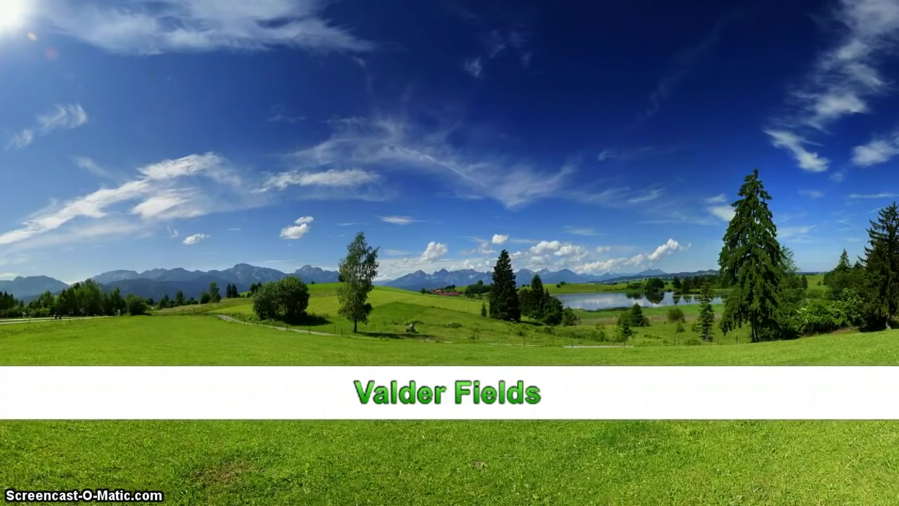 Valder Fields - Tamas Wells (歌词版)_哔哩哔哩 (゜-゜)つロ 干杯~-bilibili