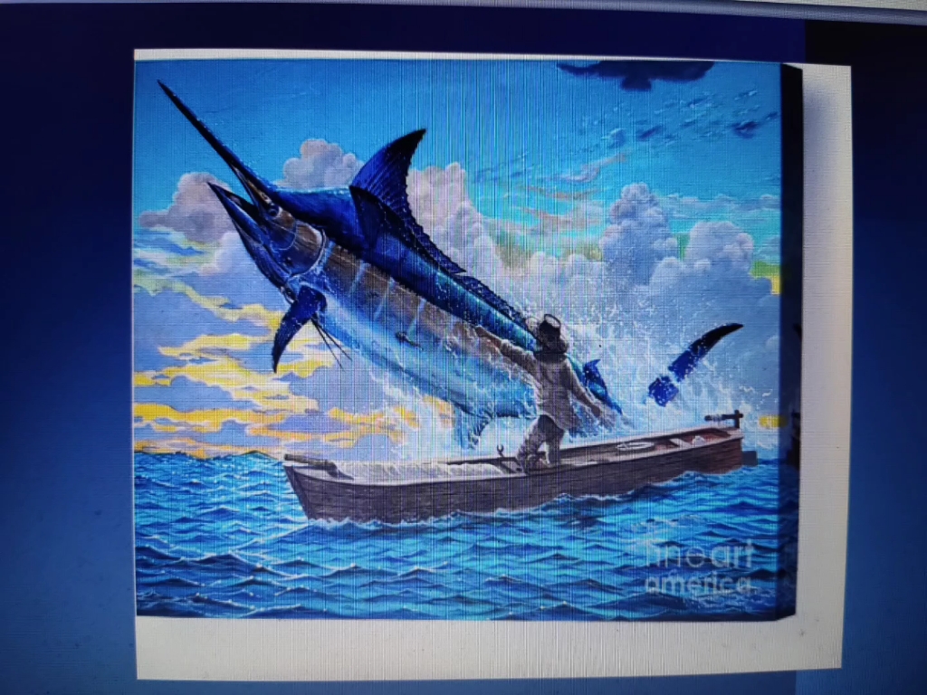 Marlin_哔哩哔哩_bilibili