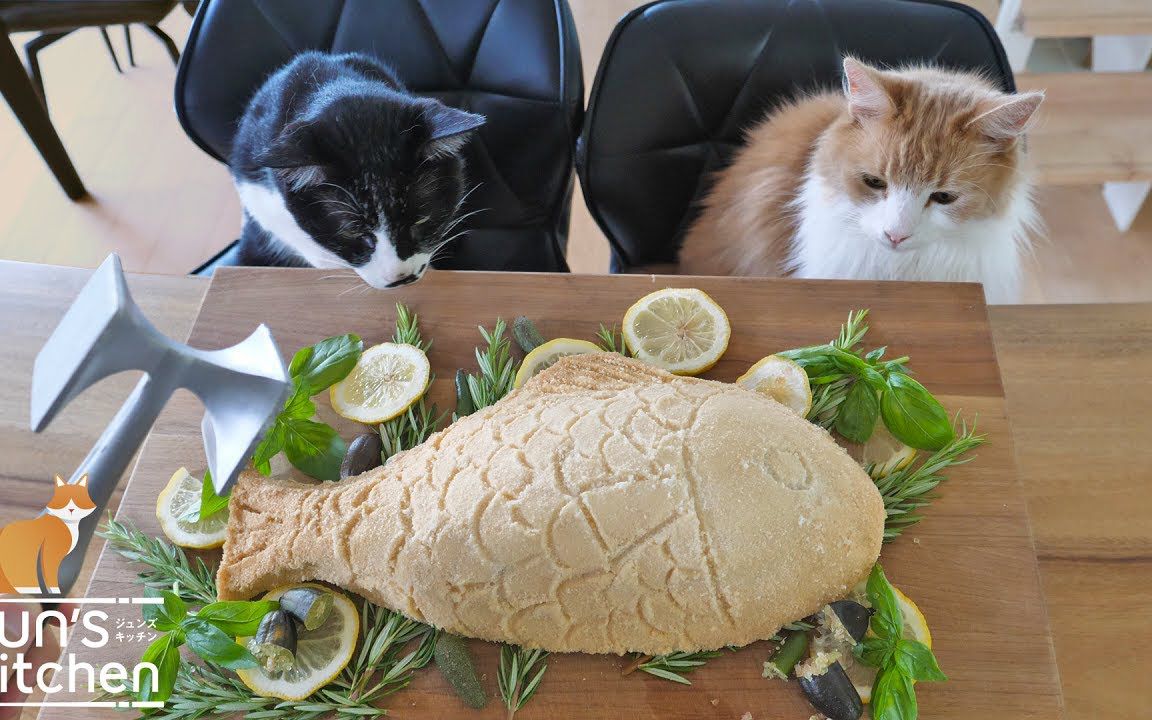 和猫猫一起做饭！ 制作美味的盐烤鲷鱼【JunsKitchen】-JunsKitchen-JunsKitchen-哔哩哔哩视频