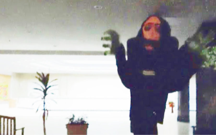 Kane Pixels新作-Oldest Views Part3:滚轮巨人 - 哔哩哔哩