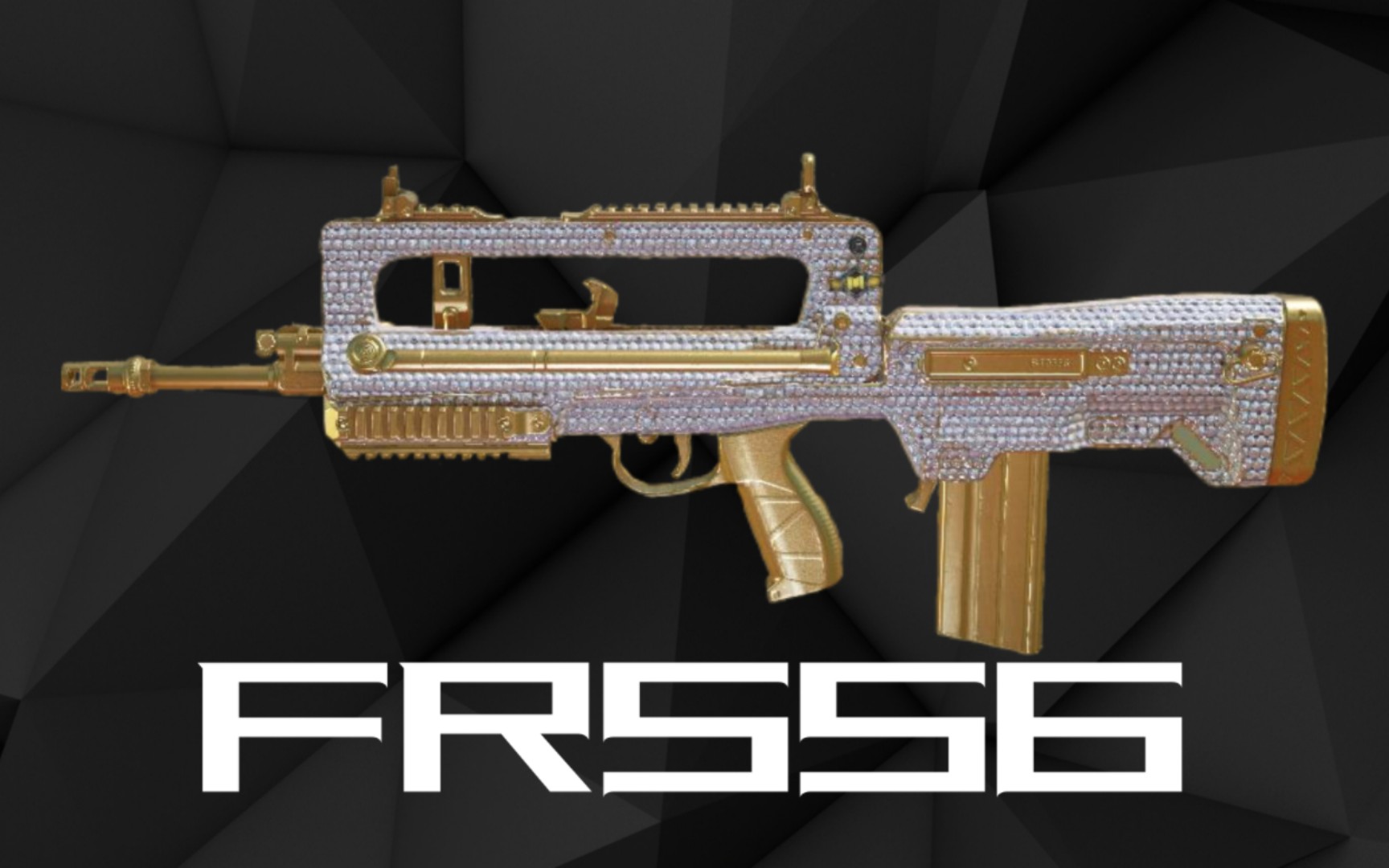 法式精准 FR556 突击步枪【枪械说明书】第四期 - 哔哩哔哩