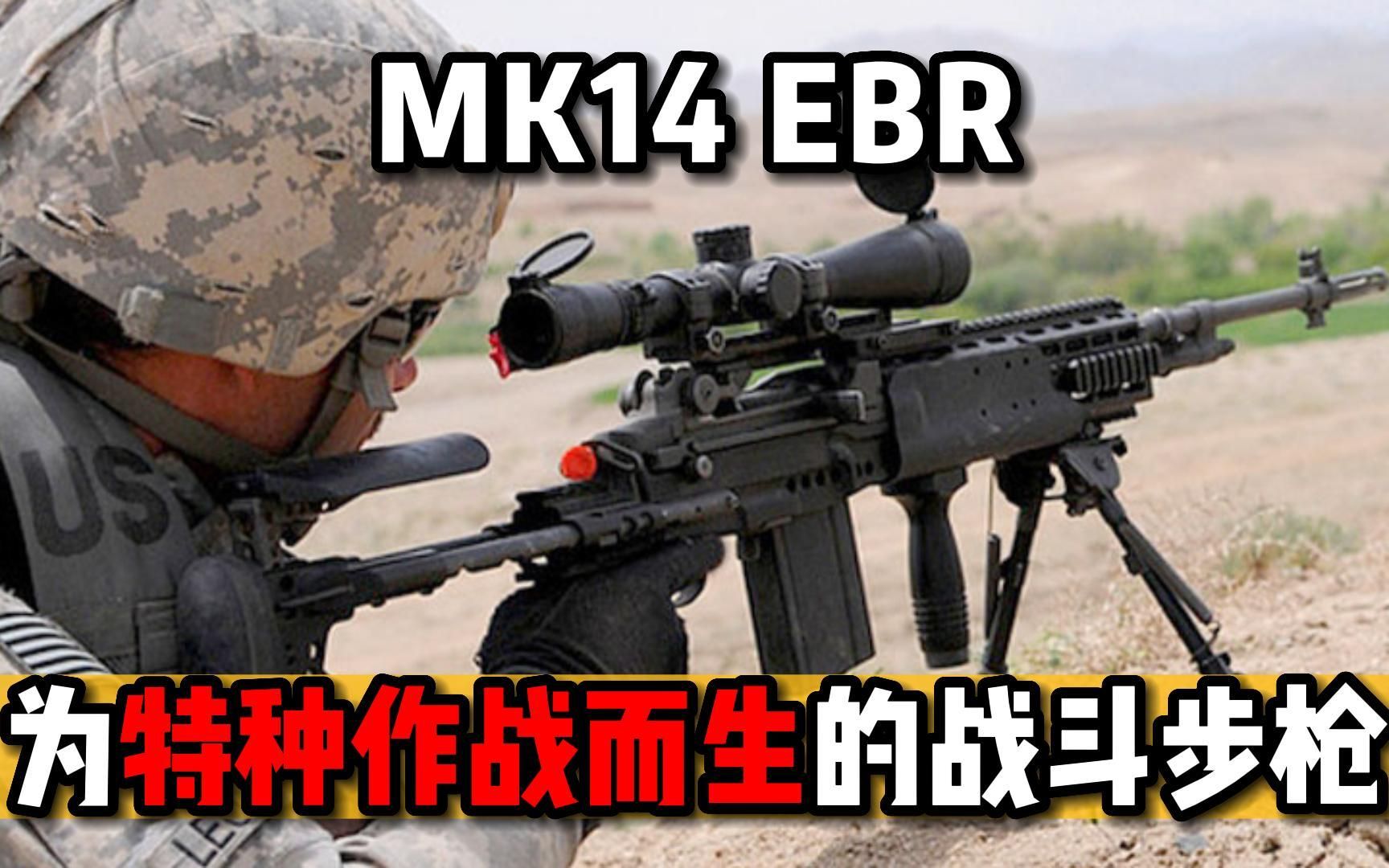 MK14 EBR增强型战斗步枪战斗步枪:为特种作战而生的战斗步枪！！_哔哩哔哩_bilibili