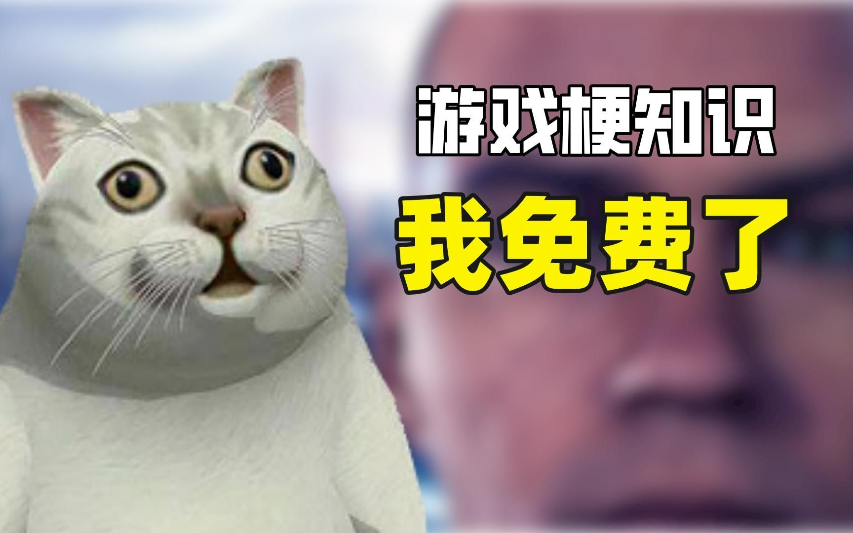 游戏梗知识：我免费了 哔哩哔哩
