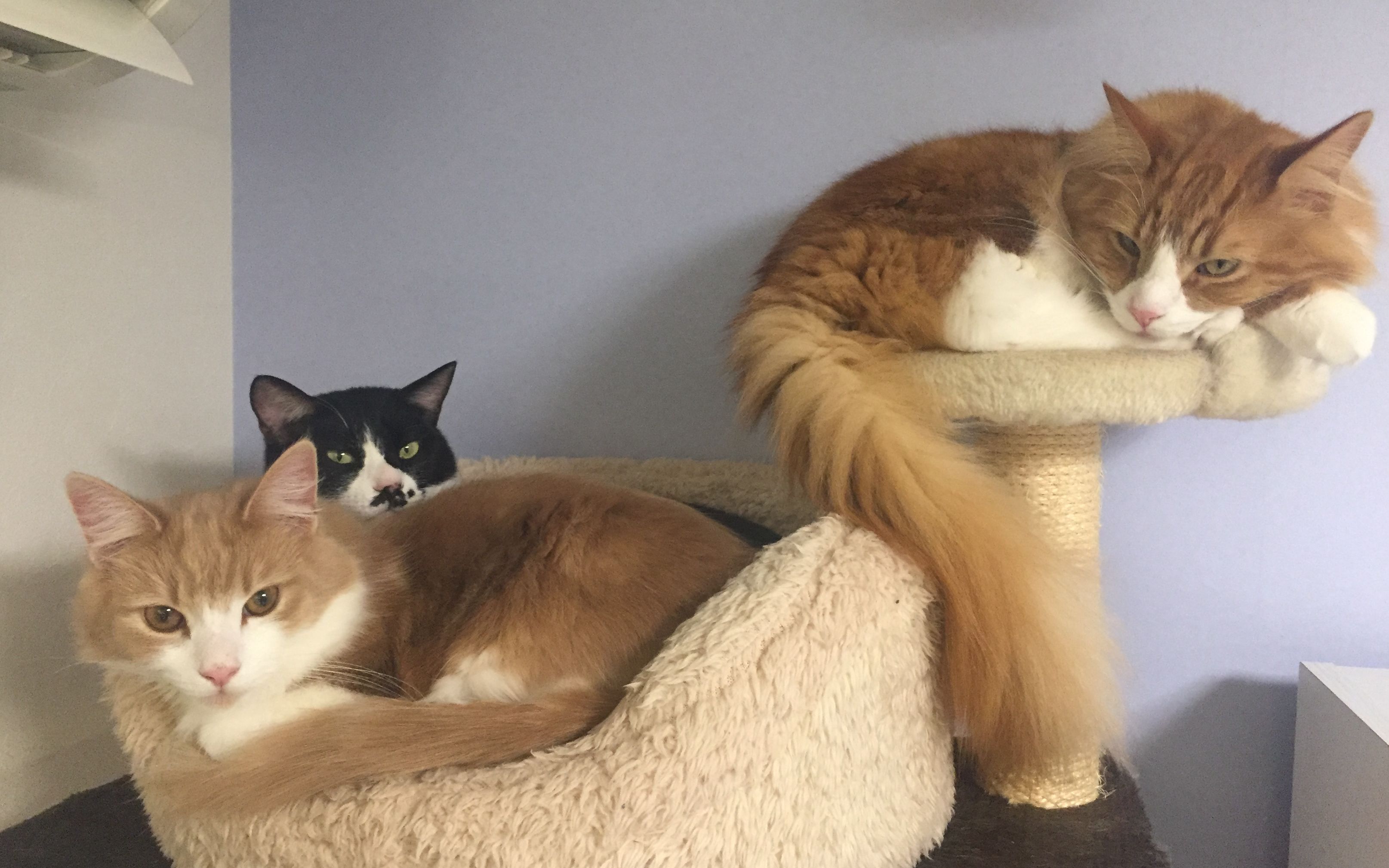 【JunsKitchen】It's me. 真的是我本人。_哔哩哔哩 (゜-゜)つロ 干杯~-bilibili