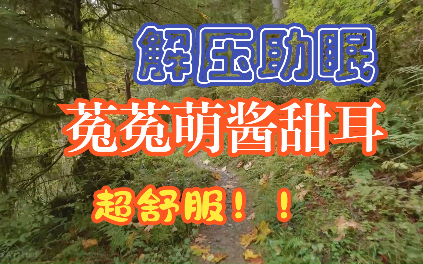 【ppomo助眠】抚摸你的脸、耳朵、头部和头皮以放松身心