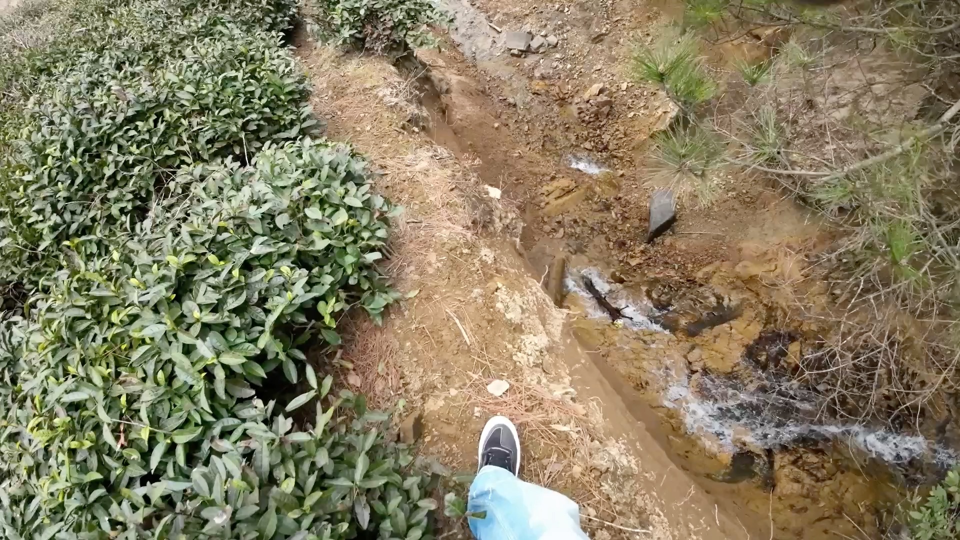 我一直在寻找一些东西-老六liul-老六liul-哔哩哔哩视频