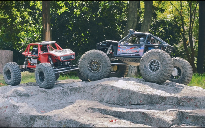 Capra带着小伙伴晨练_哔哩哔哩_bilibili