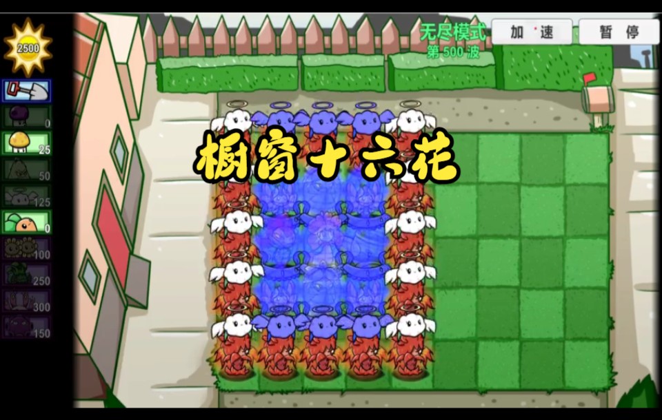 【PVZ BT】 DE 橱窗十六花_哔哩哔哩bilibili_演示