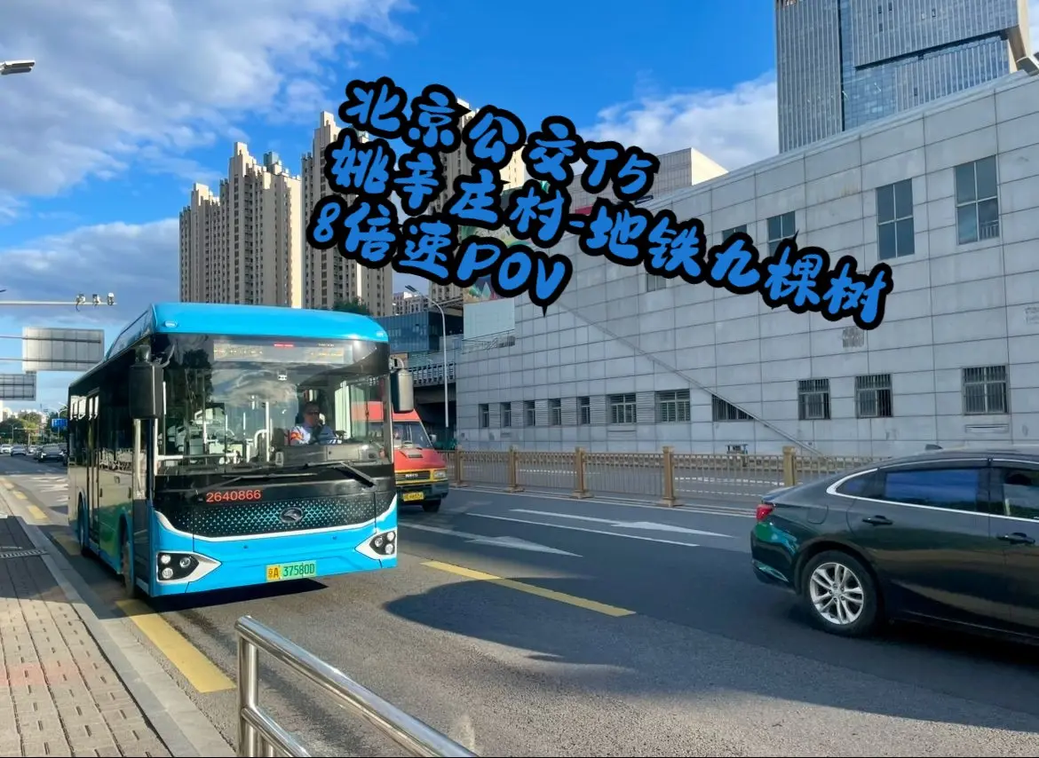 【万能司机在线修车】北京公交T5路(姚辛庄村-地铁九棵树)全程8倍速POV_哔哩哔哩_bilibili