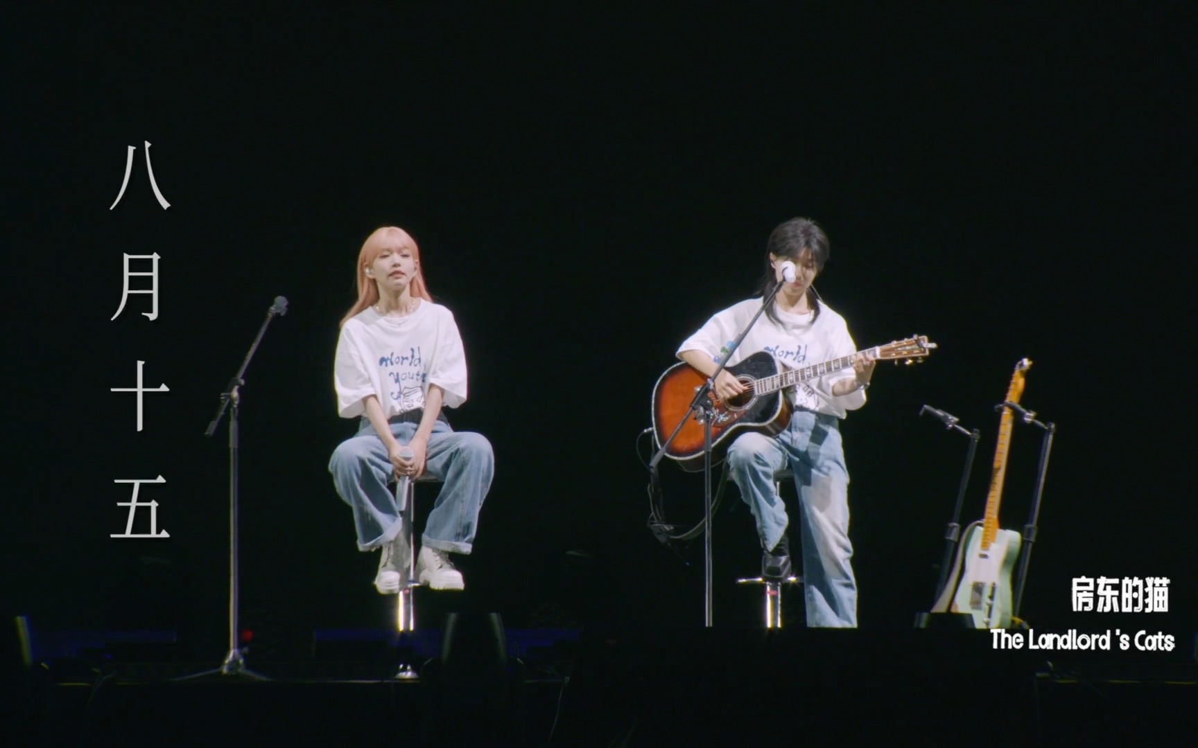 【房东的猫】「世界/青年」演唱会广州站《八月十五》 - 哔哩哔哩