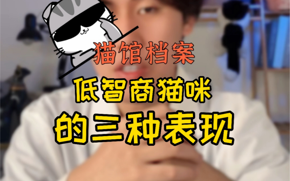 快来看看你家猫有没有这三种表现 哔哩哔哩