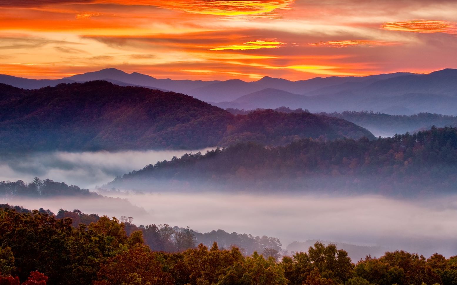 Microsoft Edge Record 2020-05-27_哔哩哔哩_bilibili