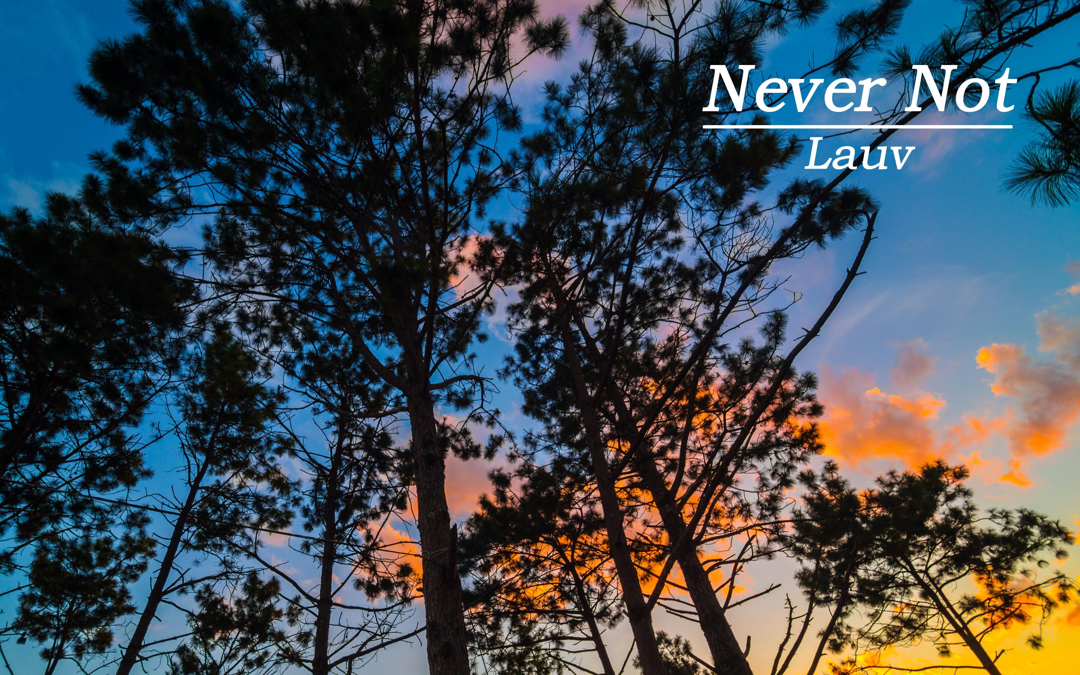 “无论怎么听，都是伤感的！！！”《Never Not》-居居百宝箱-居居百宝箱-哔哩哔哩视频