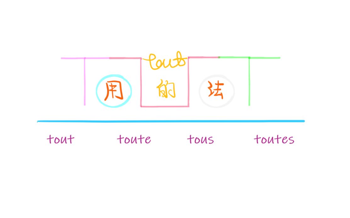 tout的用法（A2完整版）