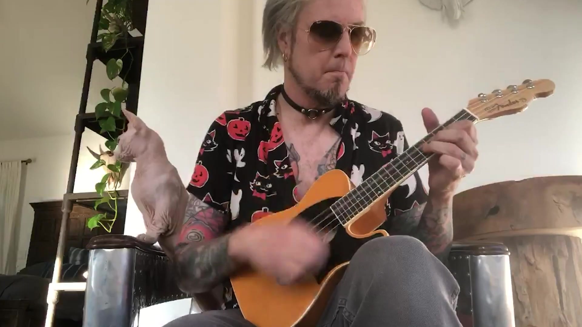 【John 5】五爷终究还是没有放过尤克里里_哔哩哔哩_bilibili