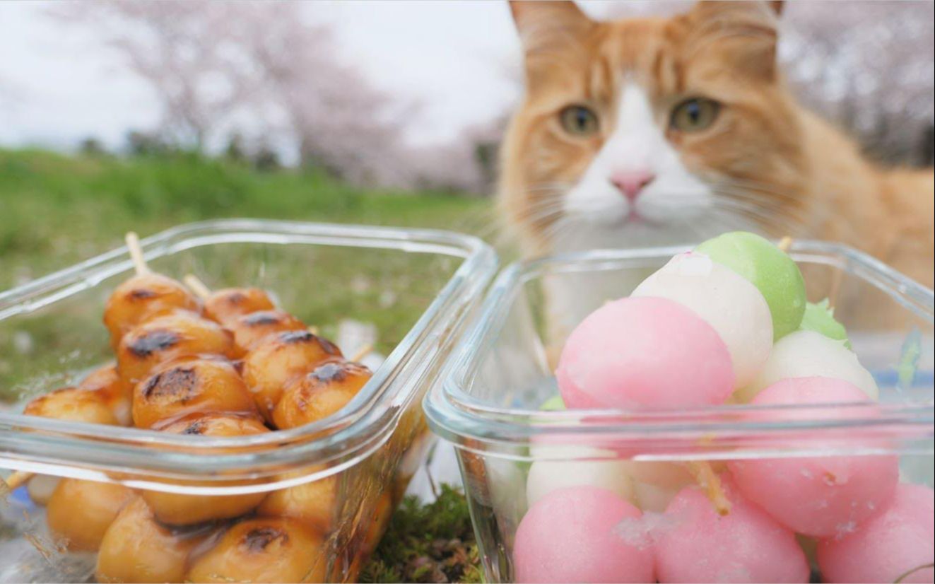 一口一个猫猫肉垫！一起来做美味的日式团子【JunsKitchen】-JunsKitchen-JunsKitchen-哔哩哔哩视频