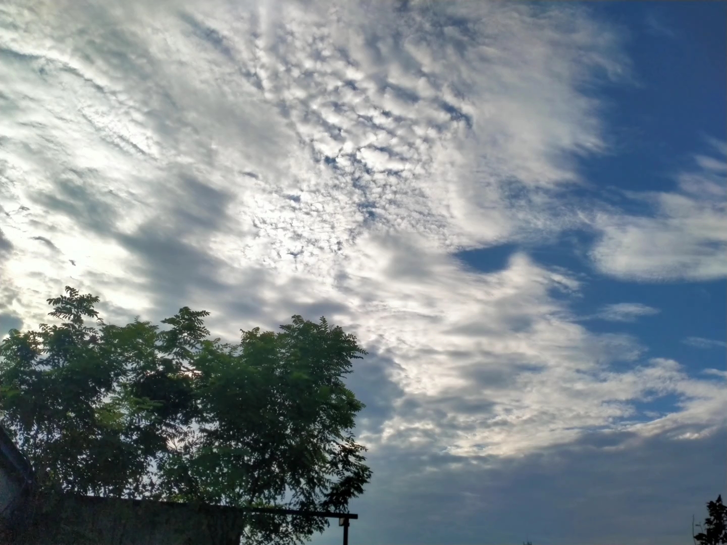 记录生活_哔哩哔哩_bilibili