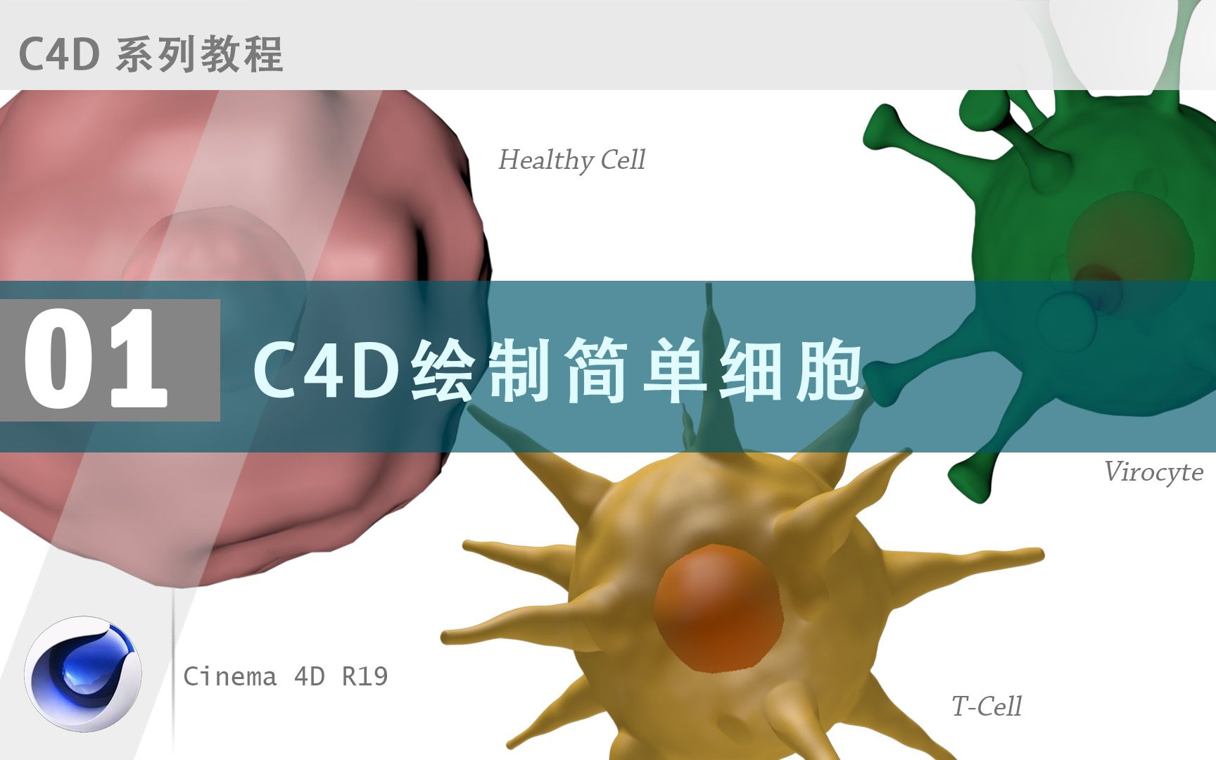 C4D科研绘图教程（五十五）-神经细胞