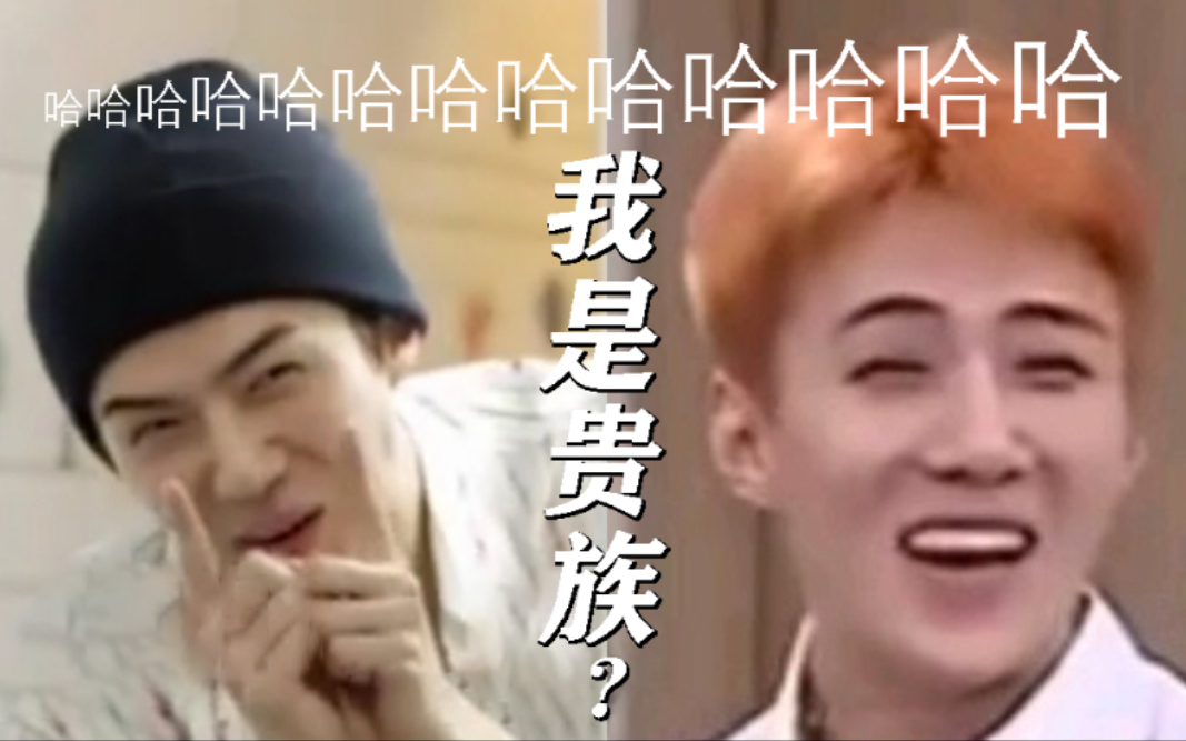 SEHUN【吴世勋快乐图鉴】不做贵族做傻子_哔哩哔哩_bilibili