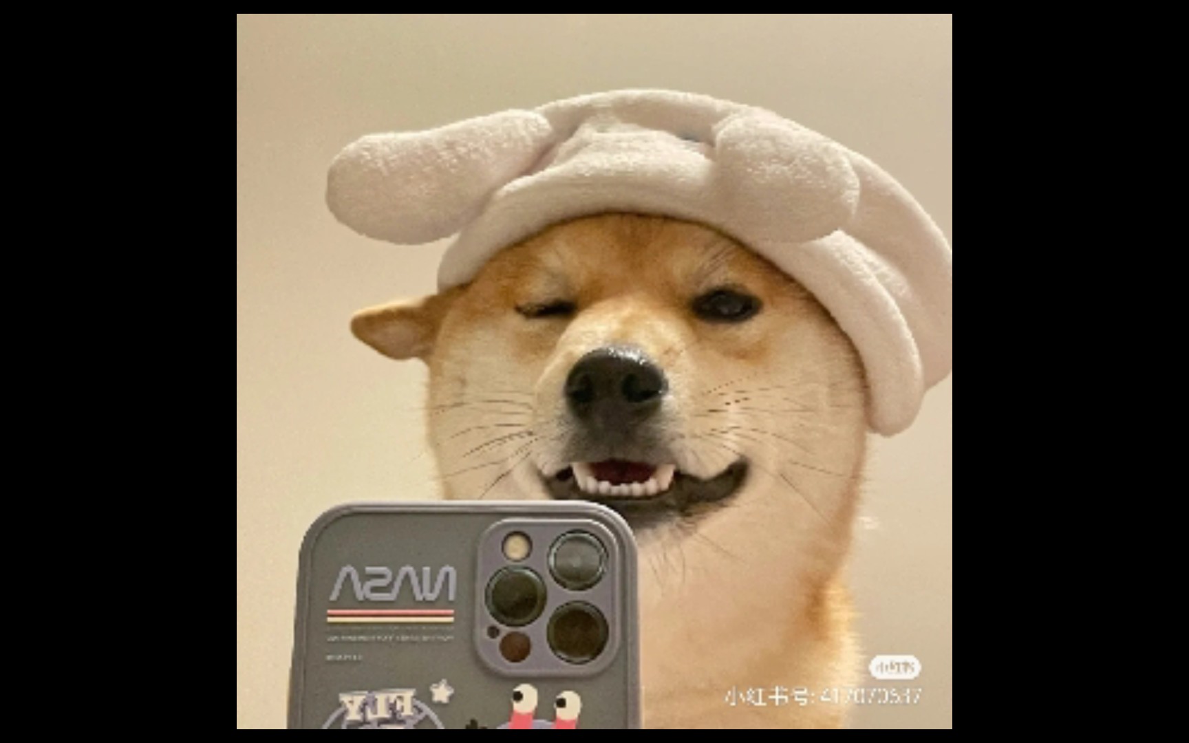 这是和我玩半的好朋友 哔哩哔哩