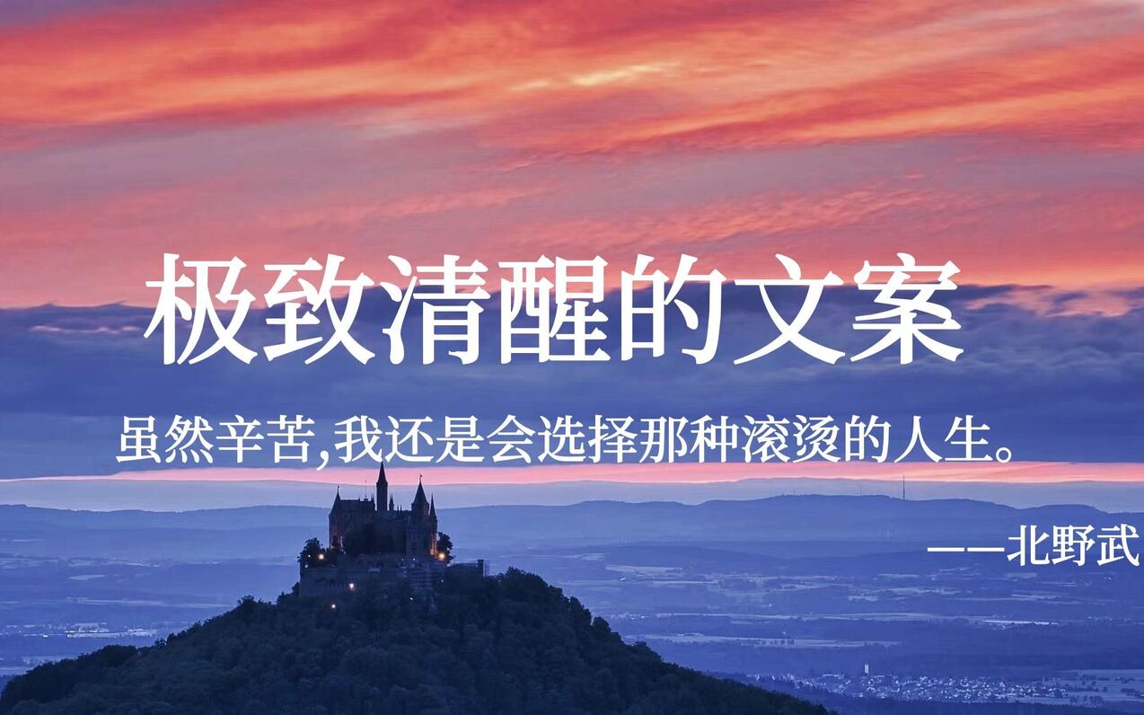 【跟这个世界交手的许多年来，你是否，光彩依旧，兴趣盎然】极致清醒的文案 哔哩哔哩