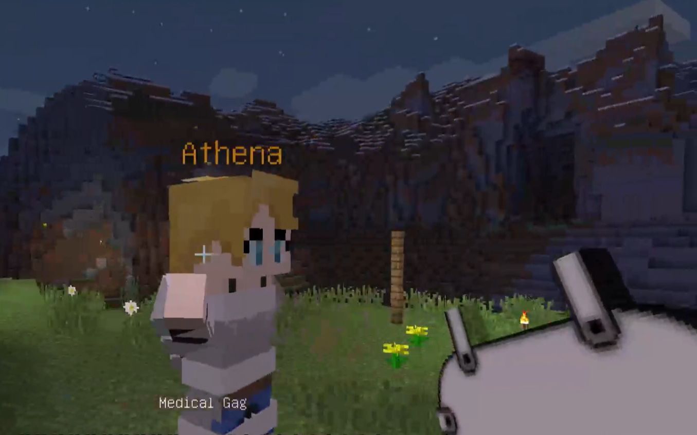 Minecraft Didnapper Mod 自制整合包